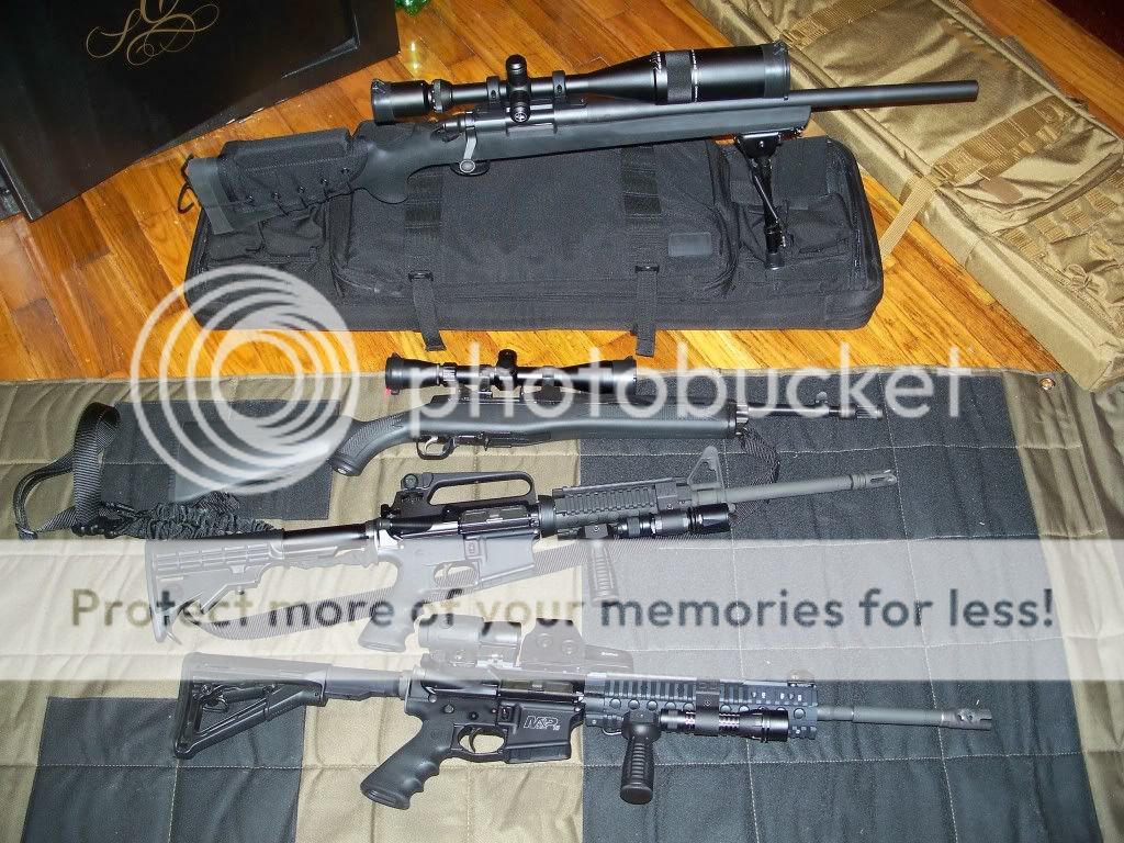 My .223s | Perfect Union
